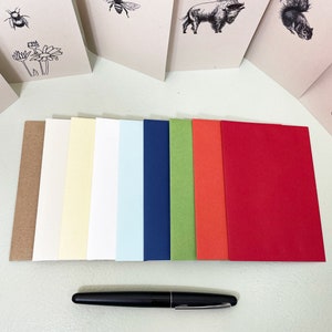 Buffalo Note Card. Recycled Note Card With Text About Buffalo Bison on ...