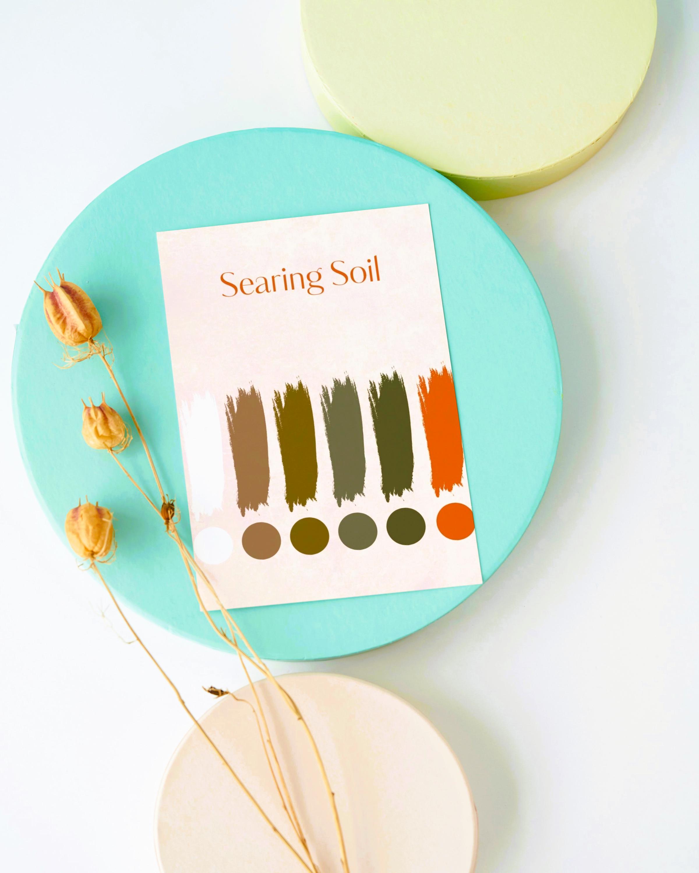 Color Palette Bundle – 10 Branding Color Palettes for Canva + PDF ...