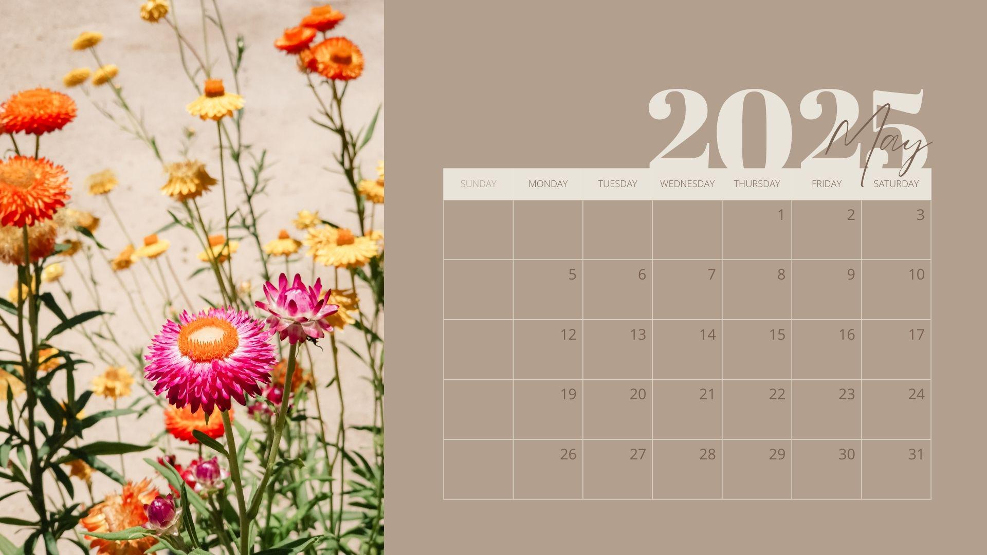 Aesthetic Neutrals 2025 Calendar Minimalist Printable Digital Download ...