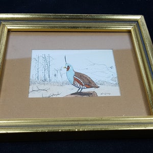Vintage Gene Murray Art Print Quail Bird in Frame Framed Signed - Etsy