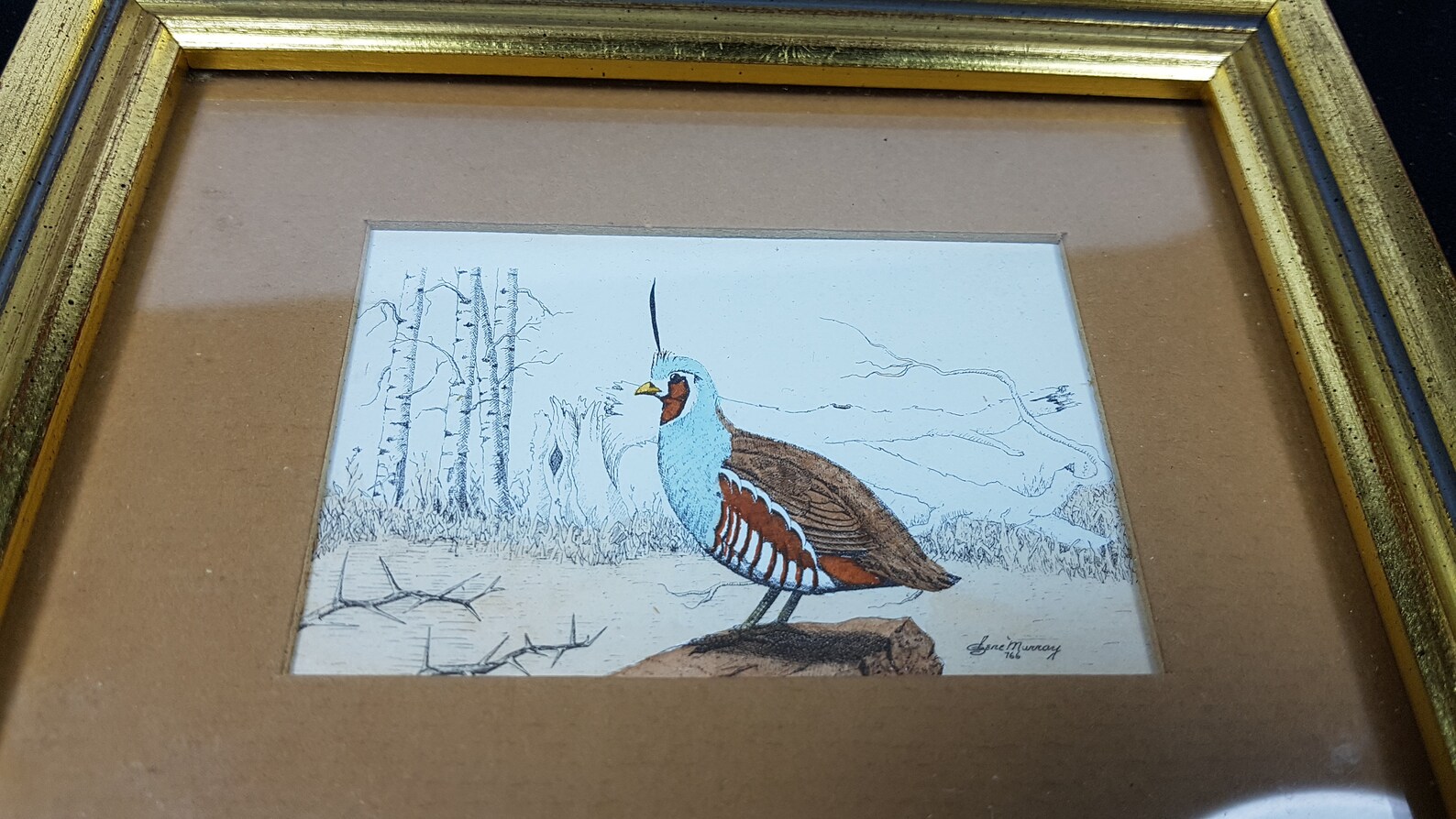 Vintage Gene Murray Art Print Quail Bird in Frame Framed - Etsy