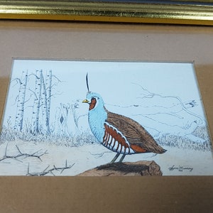 Vintage Gene Murray Art Print Quail Bird in Frame Framed Signed - Etsy