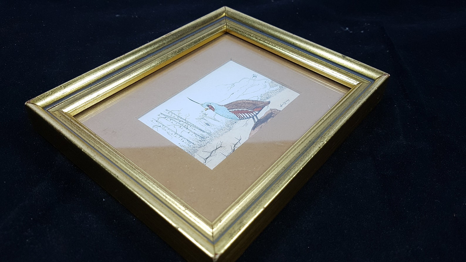 Vintage Gene Murray Art Print Quail Bird in Frame Framed - Etsy