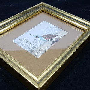 Vintage Gene Murray Art Print Quail Bird in Frame Framed Signed - Etsy