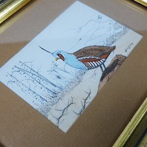 Vintage Gene Murray Art Print Quail Bird in Frame Framed Signed - Etsy