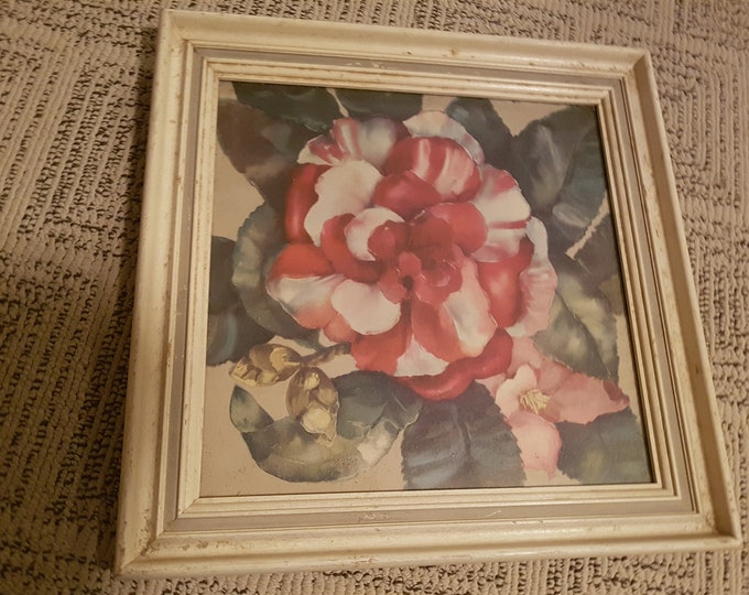 Vintage Flower Watercolor Painting Print by Ann Cochran 1940's in White ...