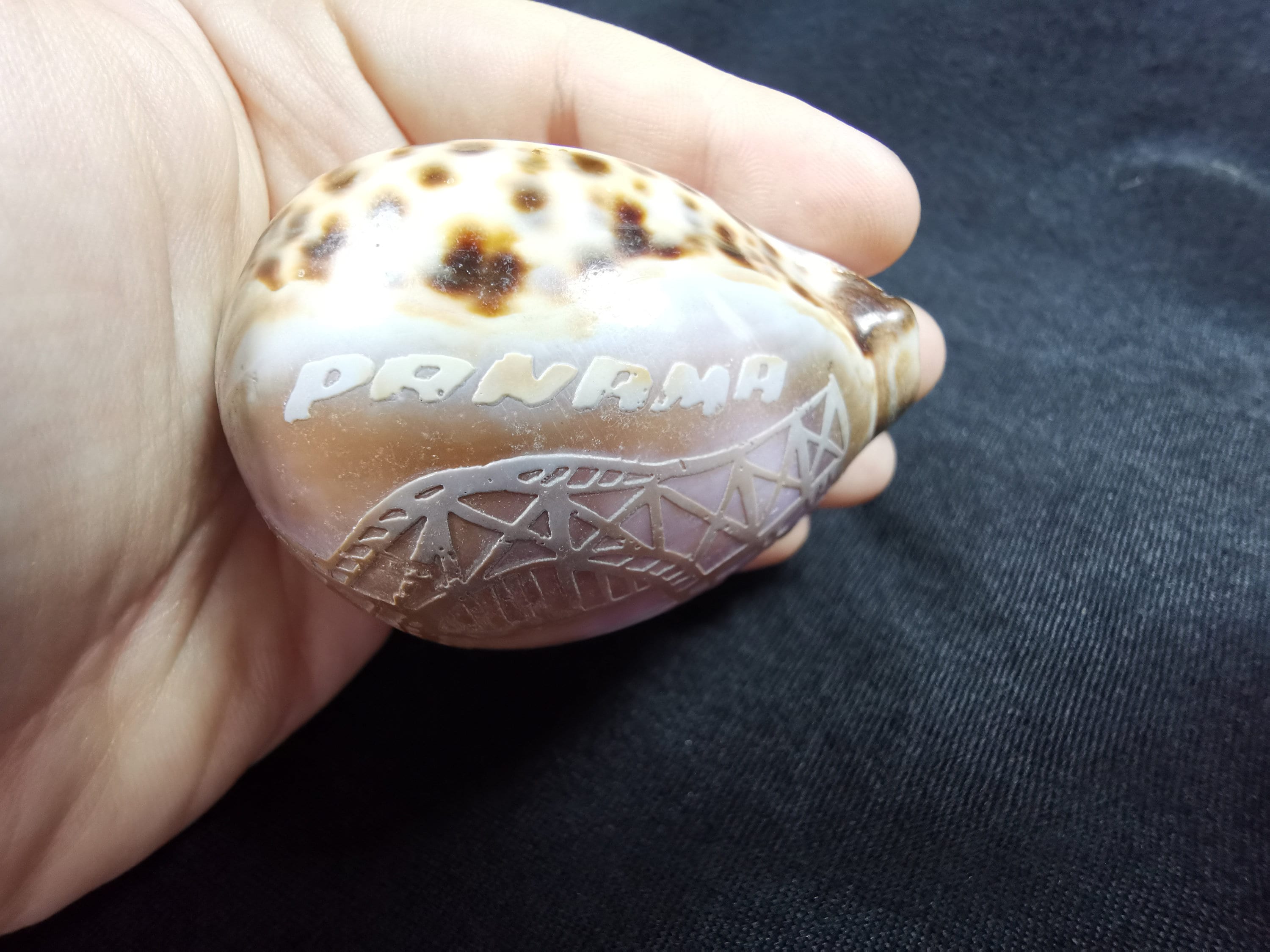 Vintage Carved Seashell Sea Shell Souvenir of Panama Puente De Las ...