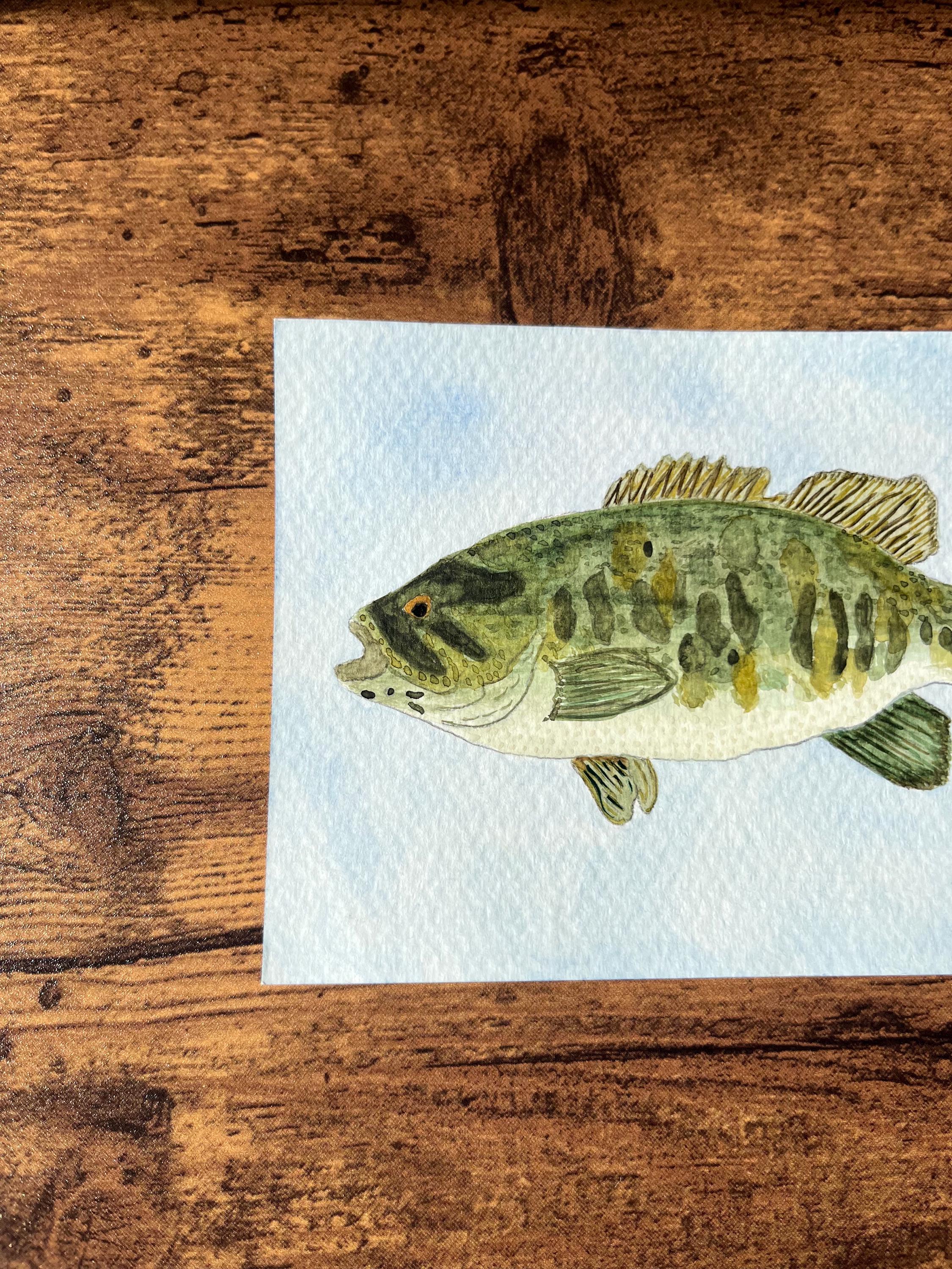 Hand-painted Watercolor Green Bass - Etsy