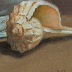 Bottle and Shell_still Life_original Oil Painting_wood Frame - Etsy