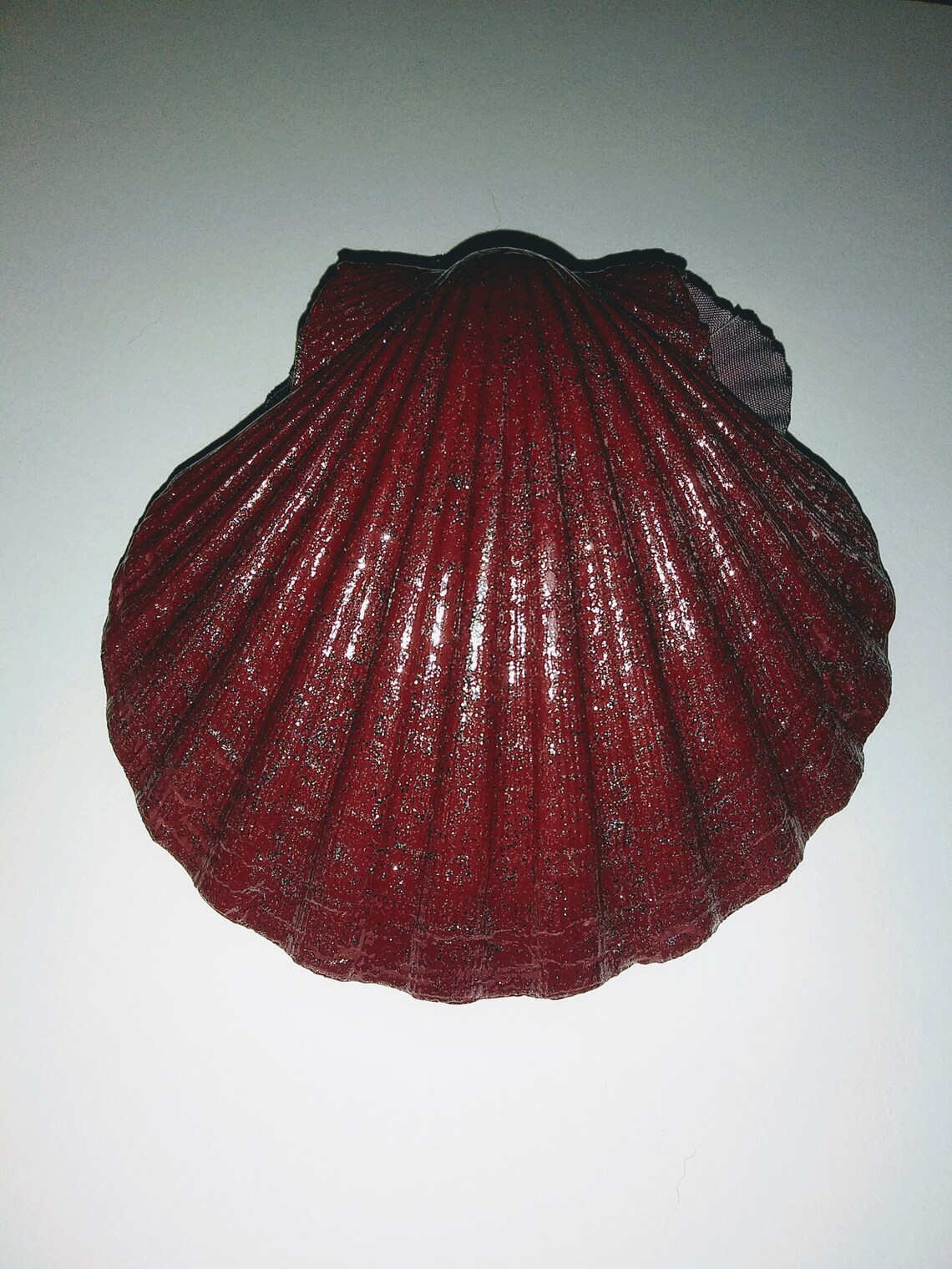 Housewarming Gift Idea...shell Home Decor..scallop Shell Trinket Dish ...