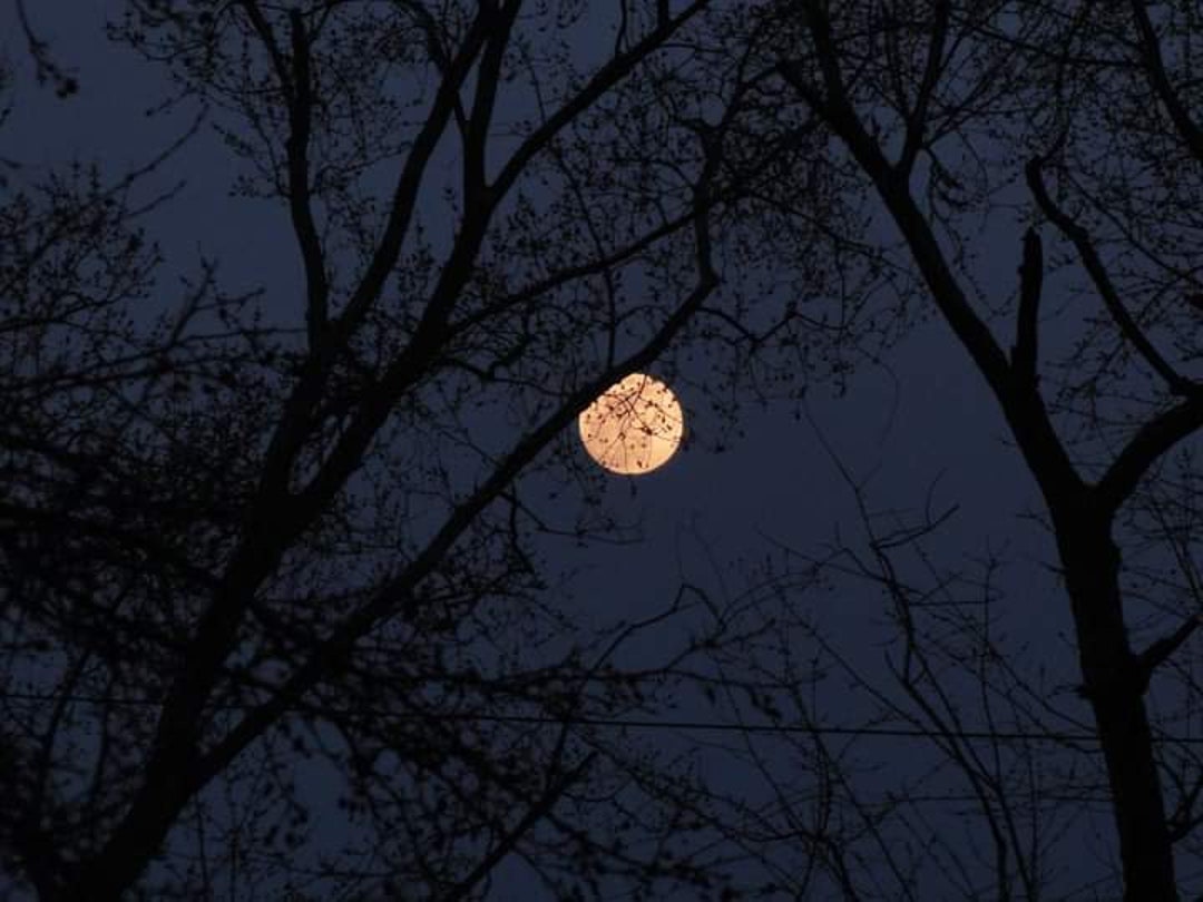 Blood Moon Magic /8x10 /home Decor/moon Photography/ Nature Photography ...