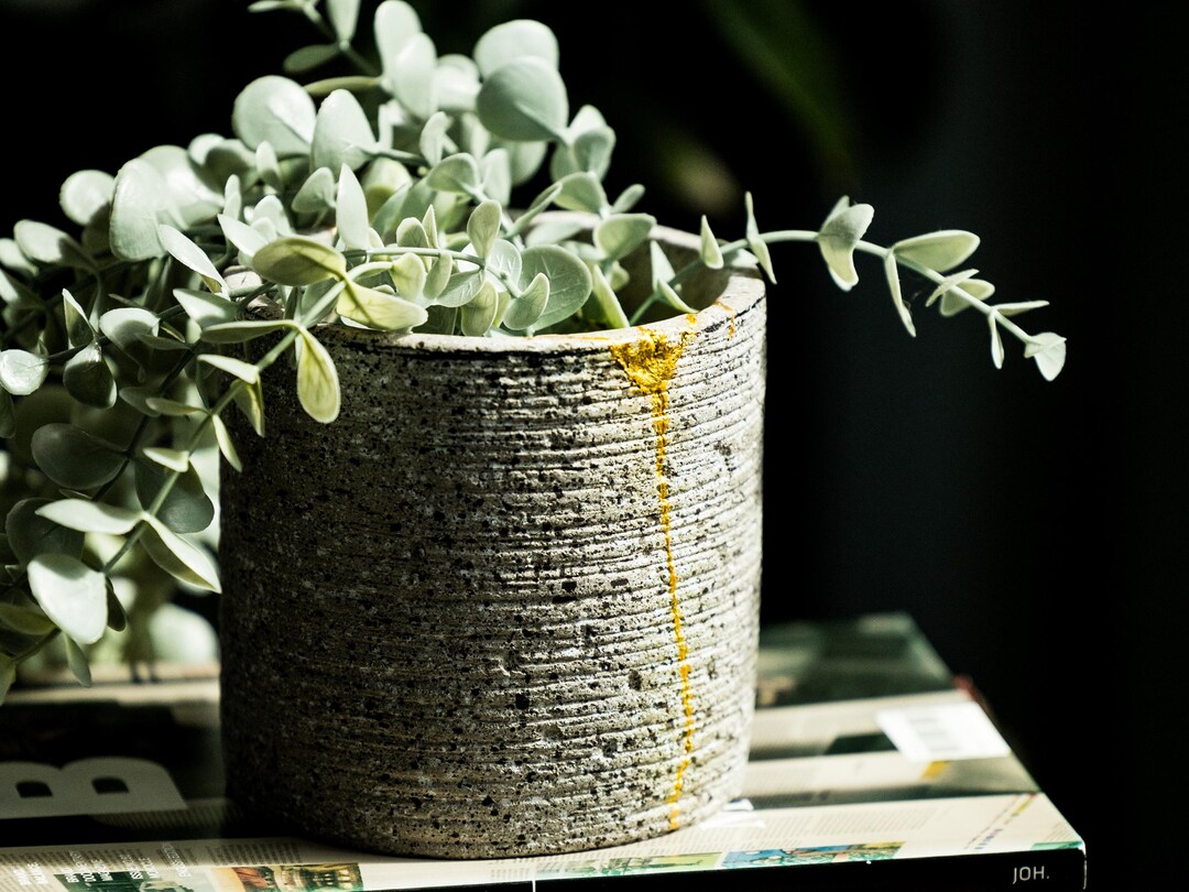 Repaired Concrete Planter | Kintsugi-inspired | Restored & Rescued Pot ...