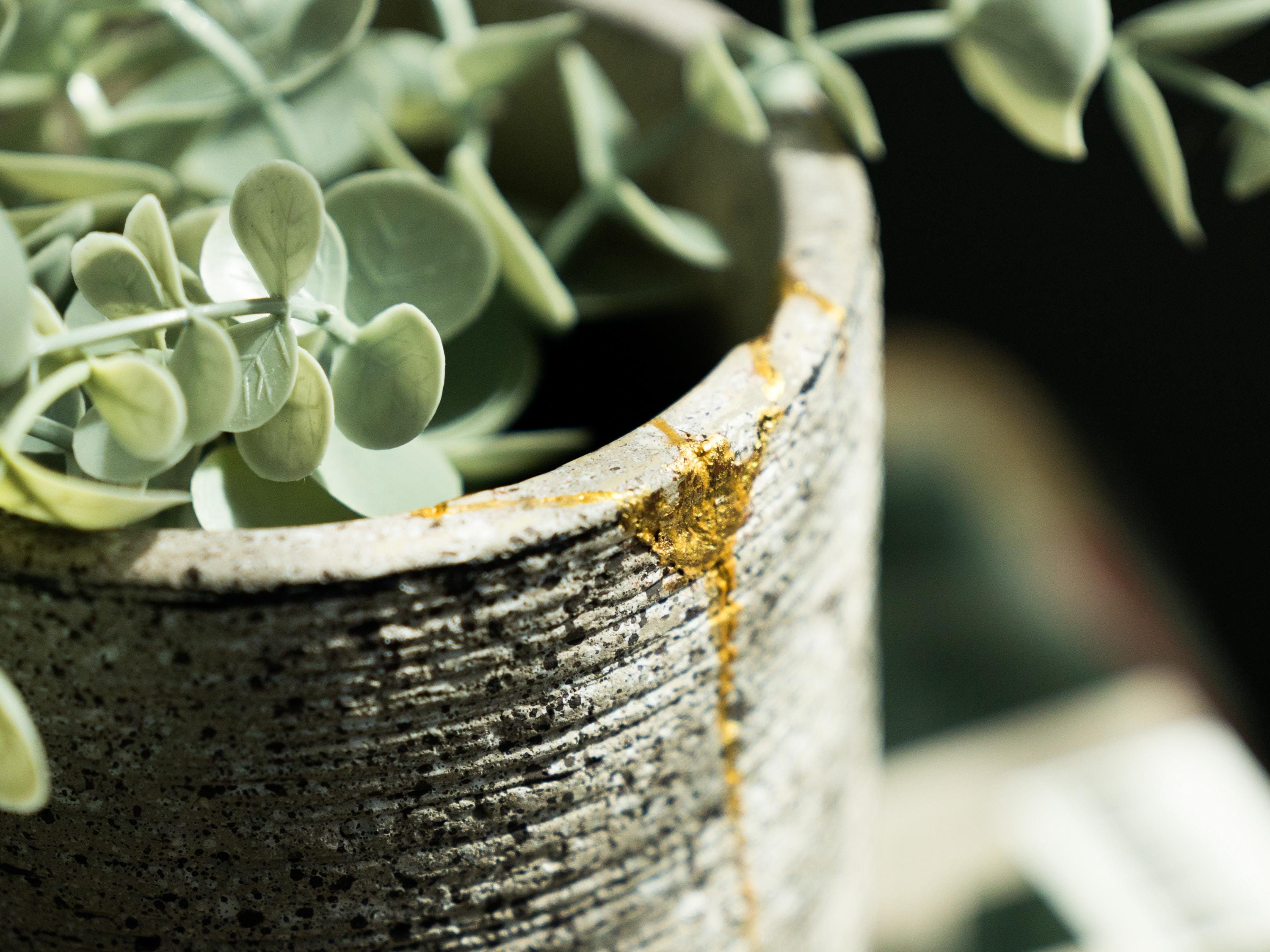 Repaired Concrete Planter | Kintsugi-inspired | Restored & Rescued Pot ...