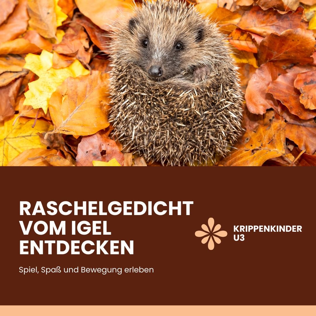 Autumn Hedgehog Poem for Kindergarten and Daycare U3 Children - Etsy