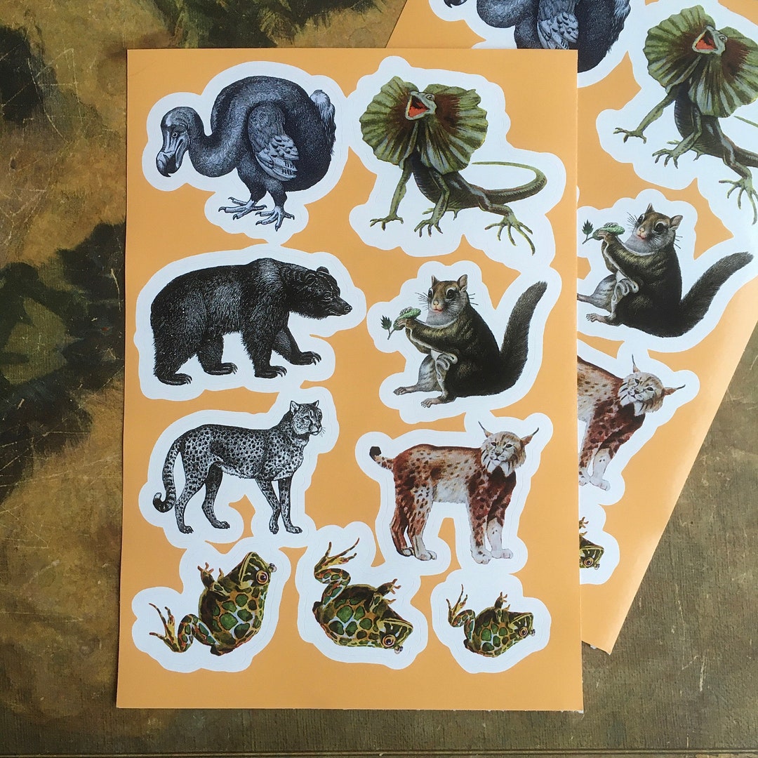 Vintage Animal Earthling Art Sticker Sheet - Etsy