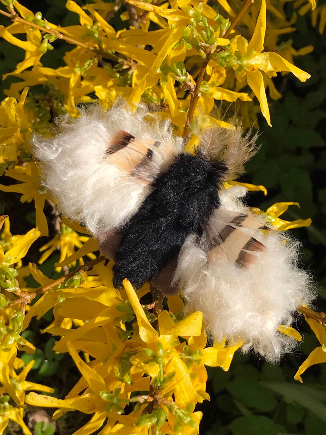 Bohemian White Teddy Butterfly Moth Brooch Pin Feathers - Etsy