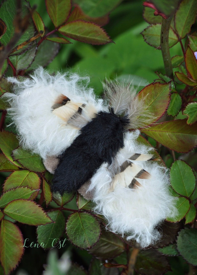 Bohemian White Teddy Butterfly Moth Brooch Pin Feathers - Etsy