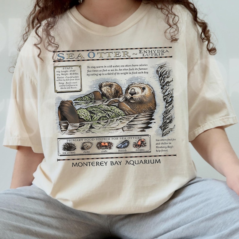 Monterey California Hoodie - Etsy