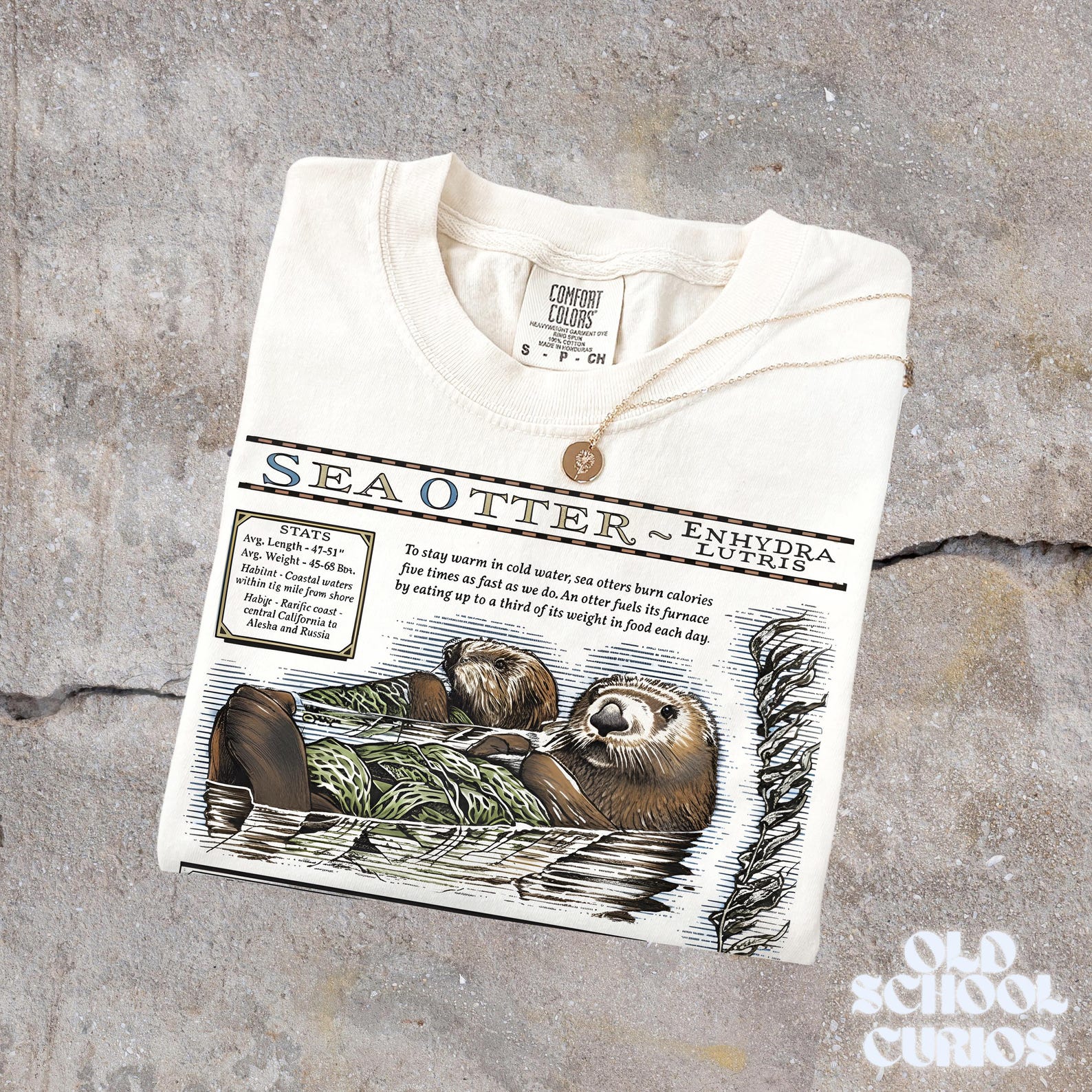 Comfort Colors® Vintage Replica Otter Shirt, Monterey Bay Aquarium ...