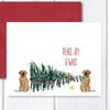 Christmas Cards, Washington, D.C. Christmas Cards, Holiday Cards, Santa ...