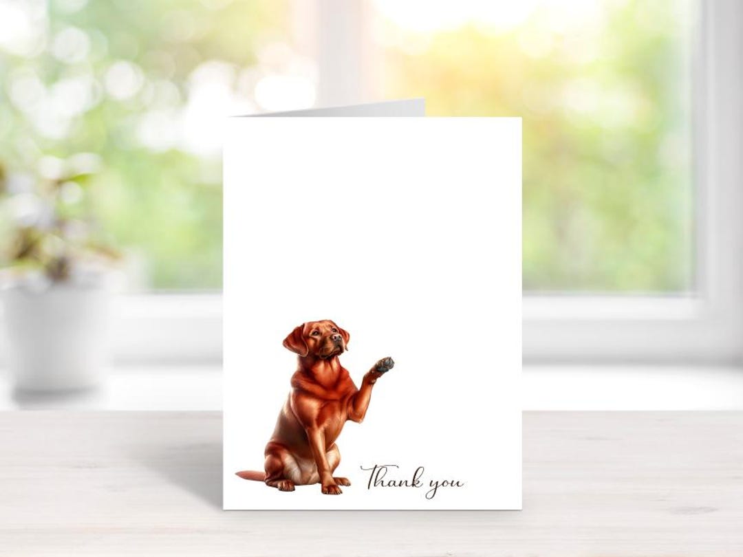 Red Fox Lab Note Cards - Etsy