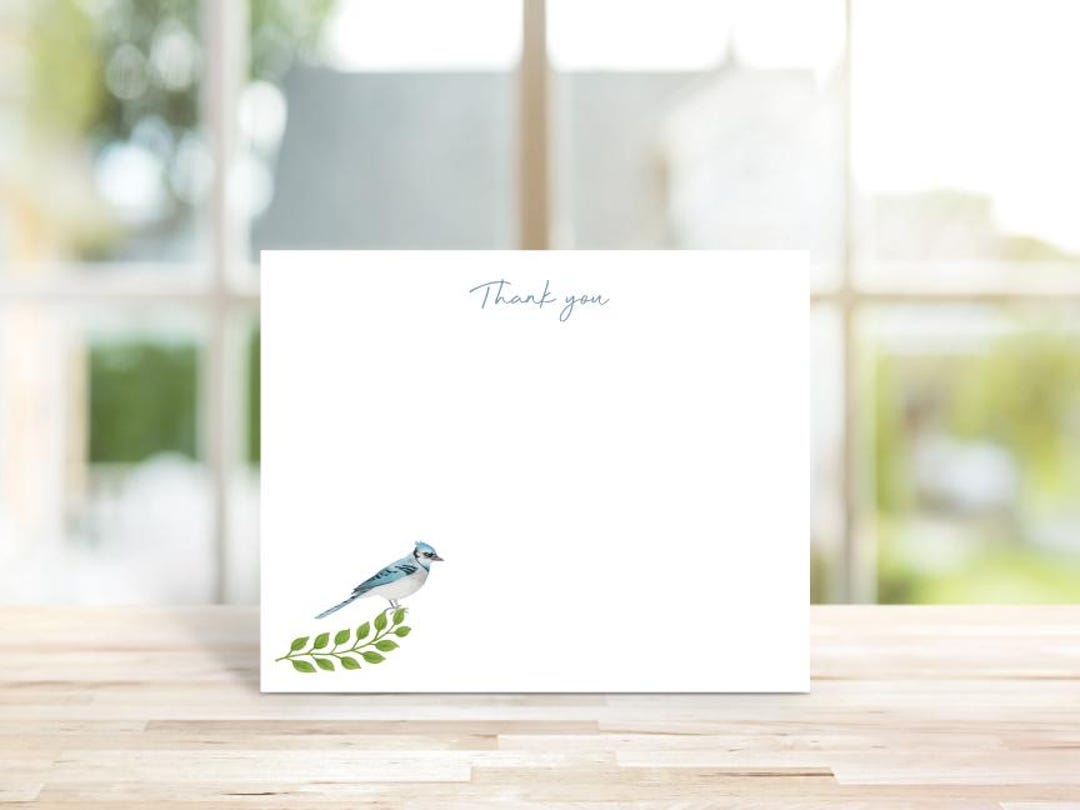Blue Jay Note Cards: Bird Thank You Notes - Etsy