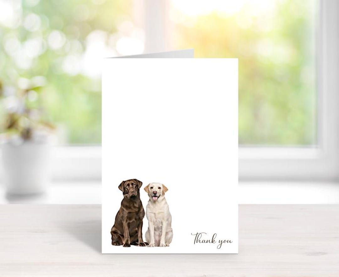 Chocolate Lab Note Cards, Labrador Retriever, Labrador Retriever ...