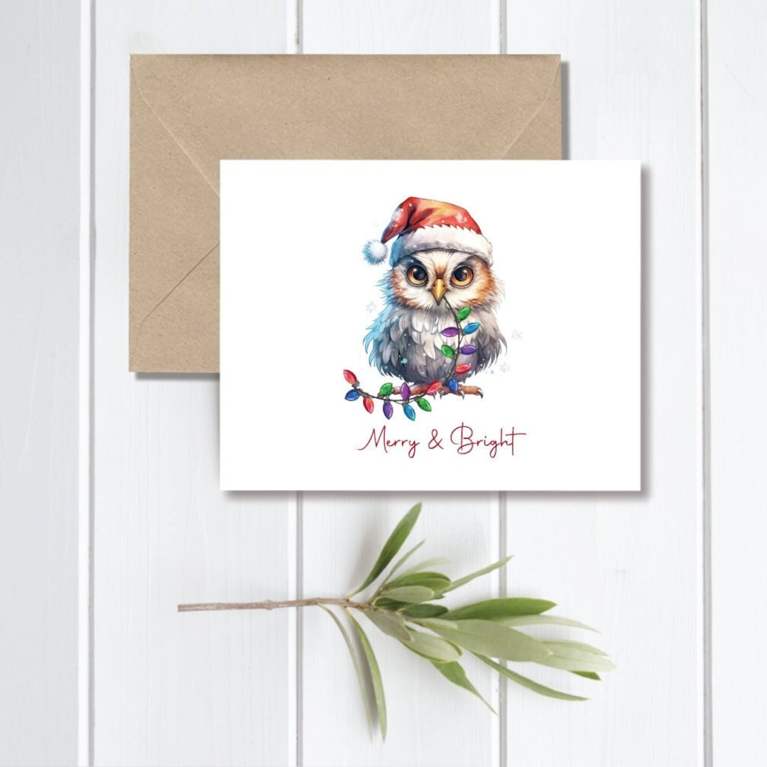 Christmas Cards, Owls, Holiday Cards, Christmas Card Set, Trees, Snow ...