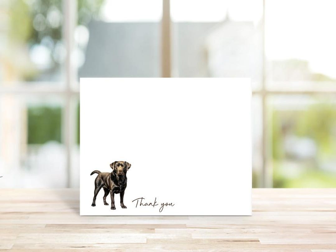 Chocolate Lab, Chocolate Lab Note Cards, Gift, Labrador Retriever ...