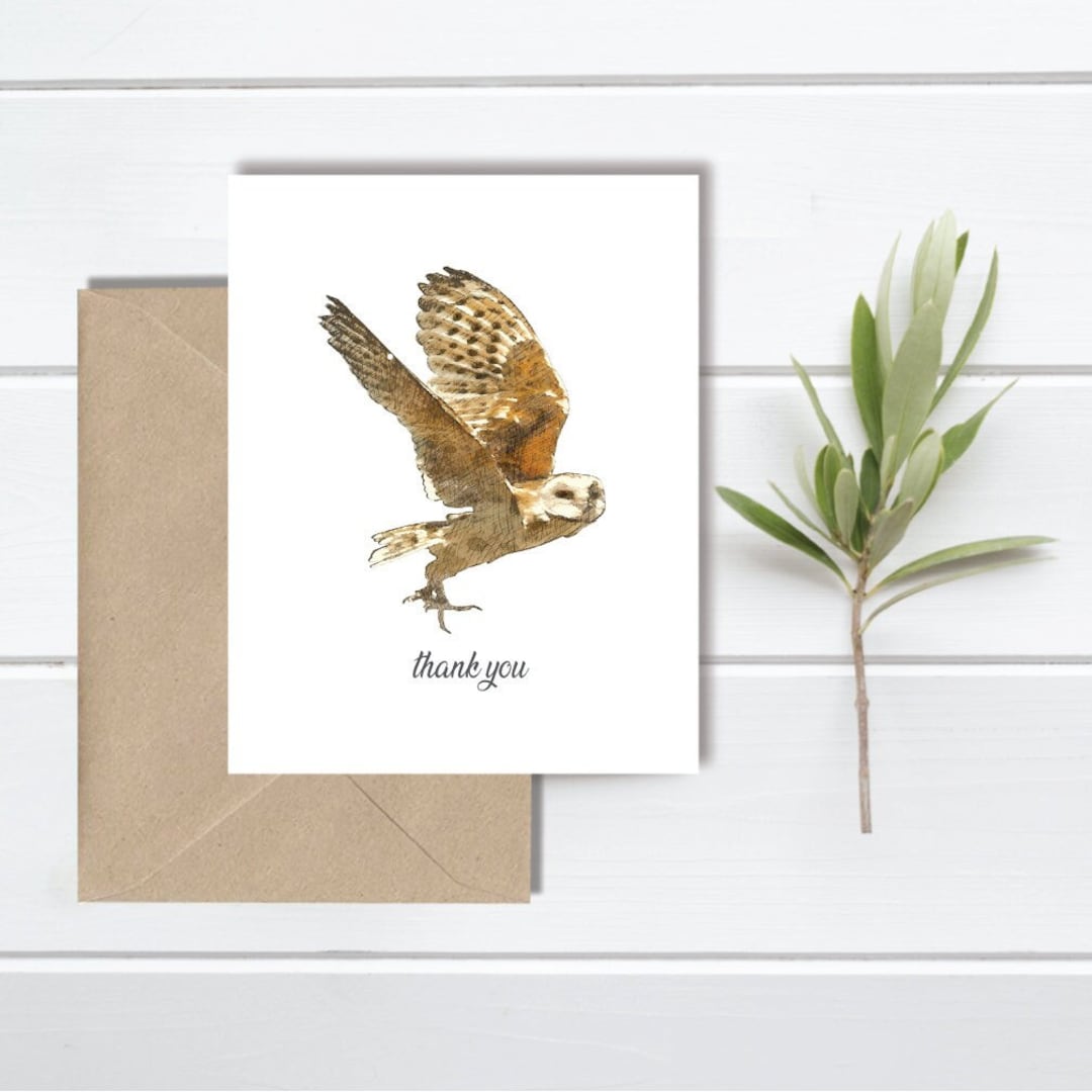 Owl Thank You Cards, Owl Note Cards, Owls, Owl Cards, Owl Lovers, Thank ...