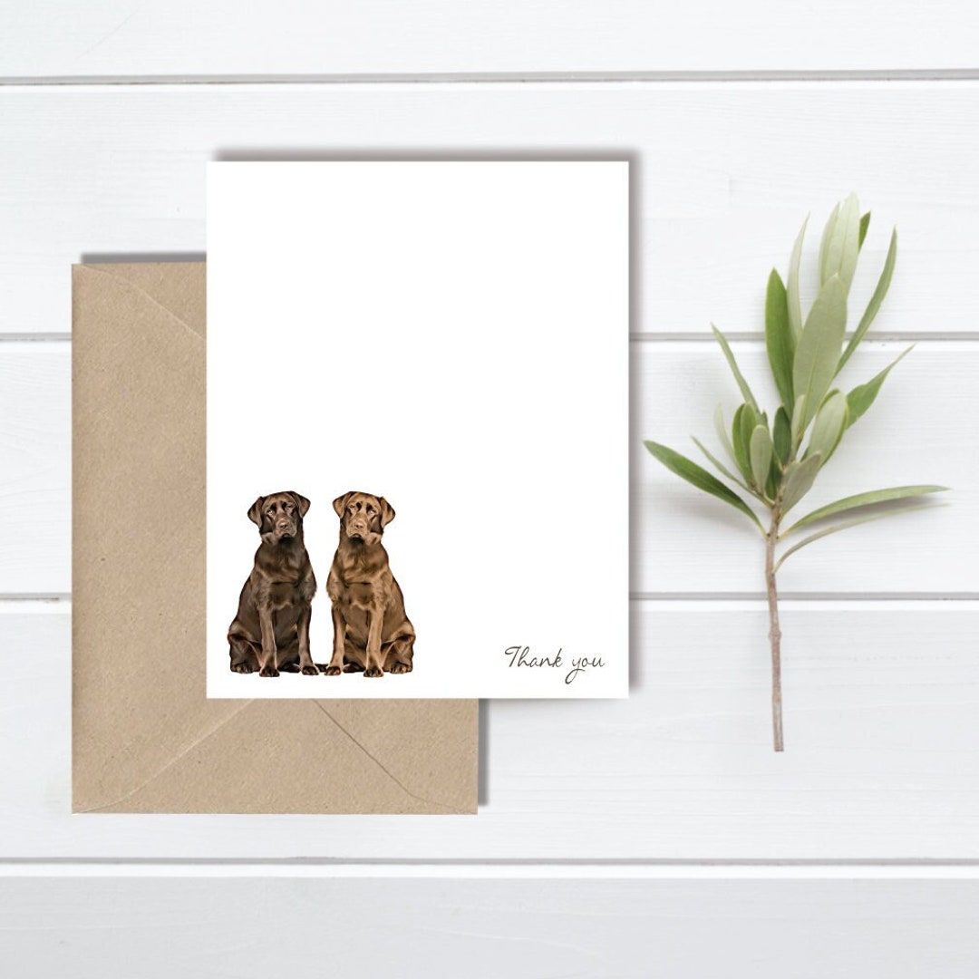 Brown Lab Breed Gift, Labrador Retriever, Labrador Retriever Stationery ...