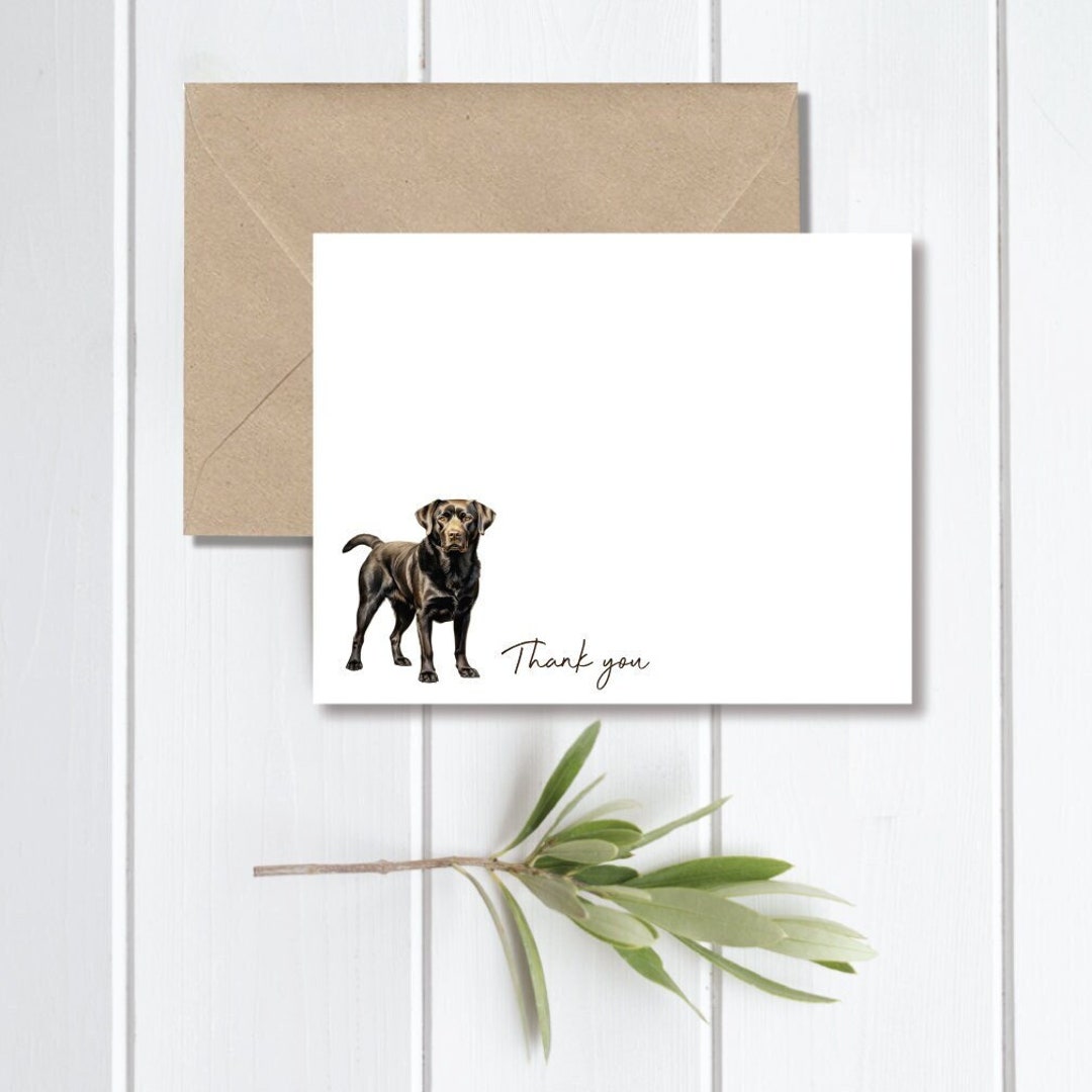 Chocolate Lab, Chocolate Lab Note Cards, Gift, Labrador Retriever ...