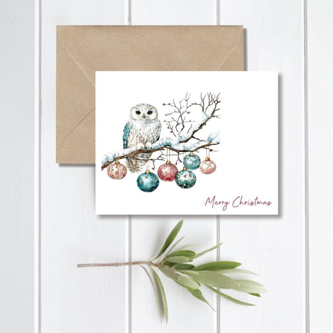 Christmas Cards, Owls, Holiday Cards, Christmas Card Set, Trees, Snow ...