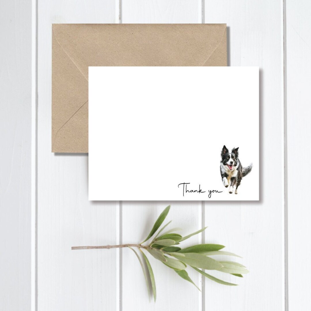 Border Collie Note Cards, Border Collie Sationery, Border Collie, Dog ...