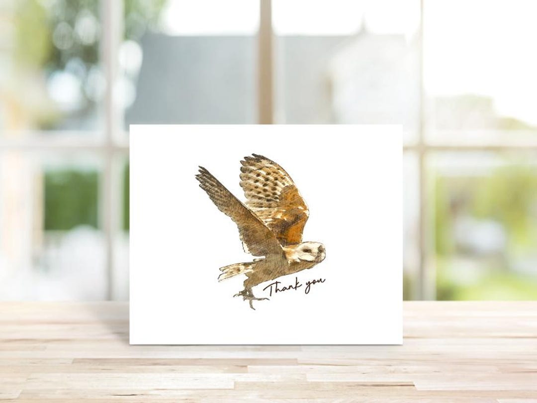 Owl Thank You Cards - Etsy