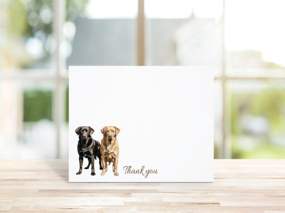 Labrador Retriever Cards, Yellow Lab, Chocolate Lab, Labrador Retriever ...