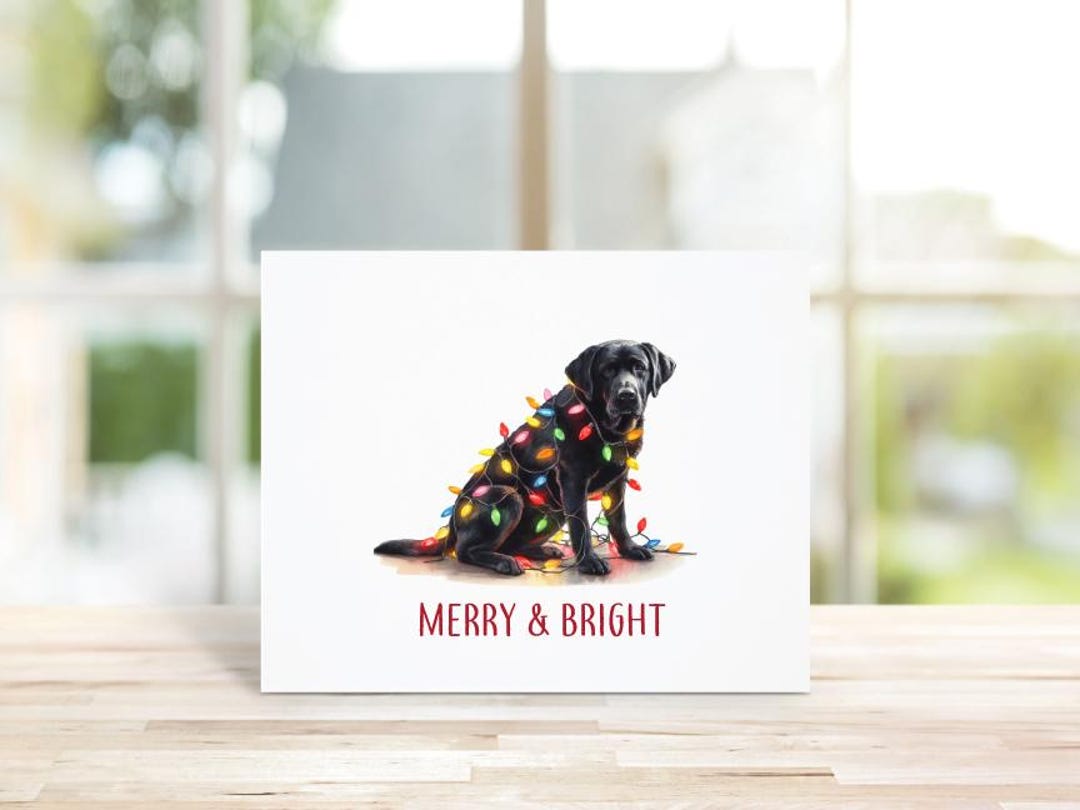 Labrador Retriever Christmas Cards : Black Lab - Etsy