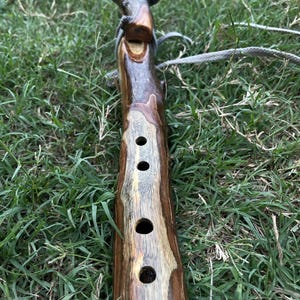 Special Edition Native American Branch Flutes Minor Pentatonic (A 432hz ...