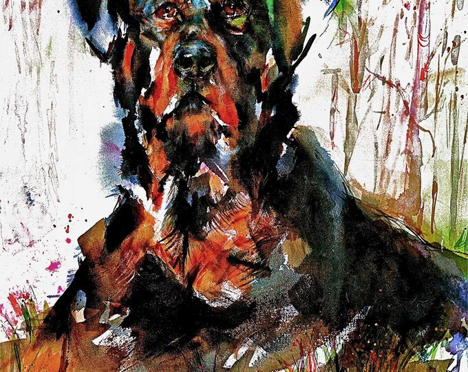 This item is unavailable - Etsy