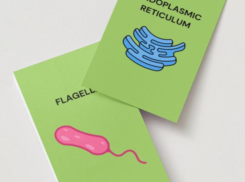 Biology Cell Organelles Flashcards Science Study Aid Printable ...