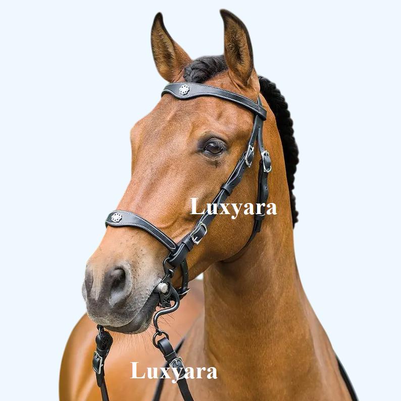 Lusitania Double Rein Bridle, Horse Bridle - Etsy