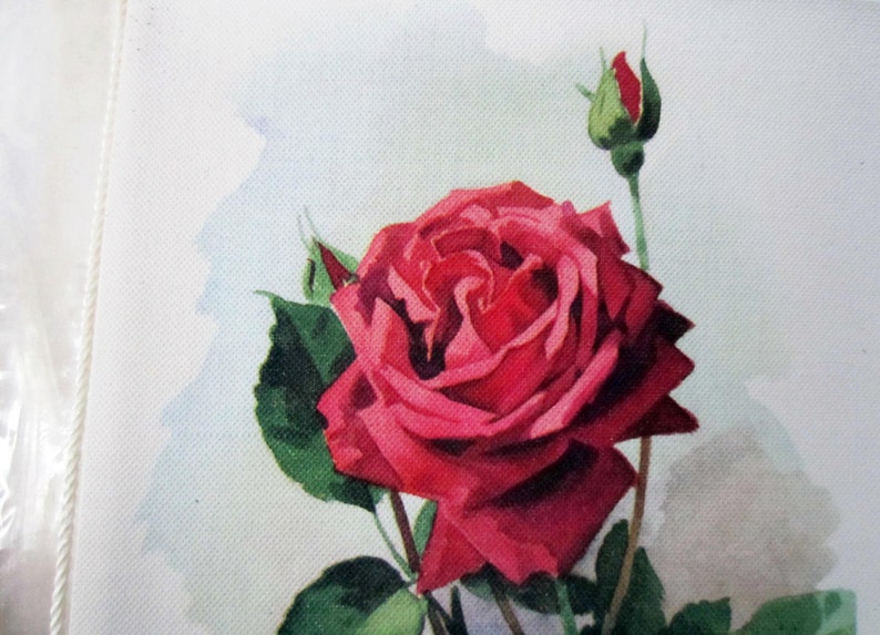 Ancient Double CARDS⎮ROSES Illustrated⎮signed Silvio Bonelli⎮greetings ...