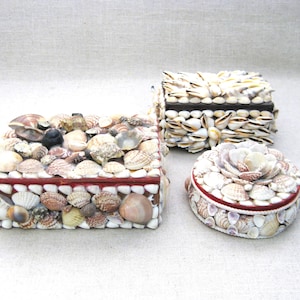 Seashell Trinket Box Collection, Vintage Beach House Décor, Small Desk ...