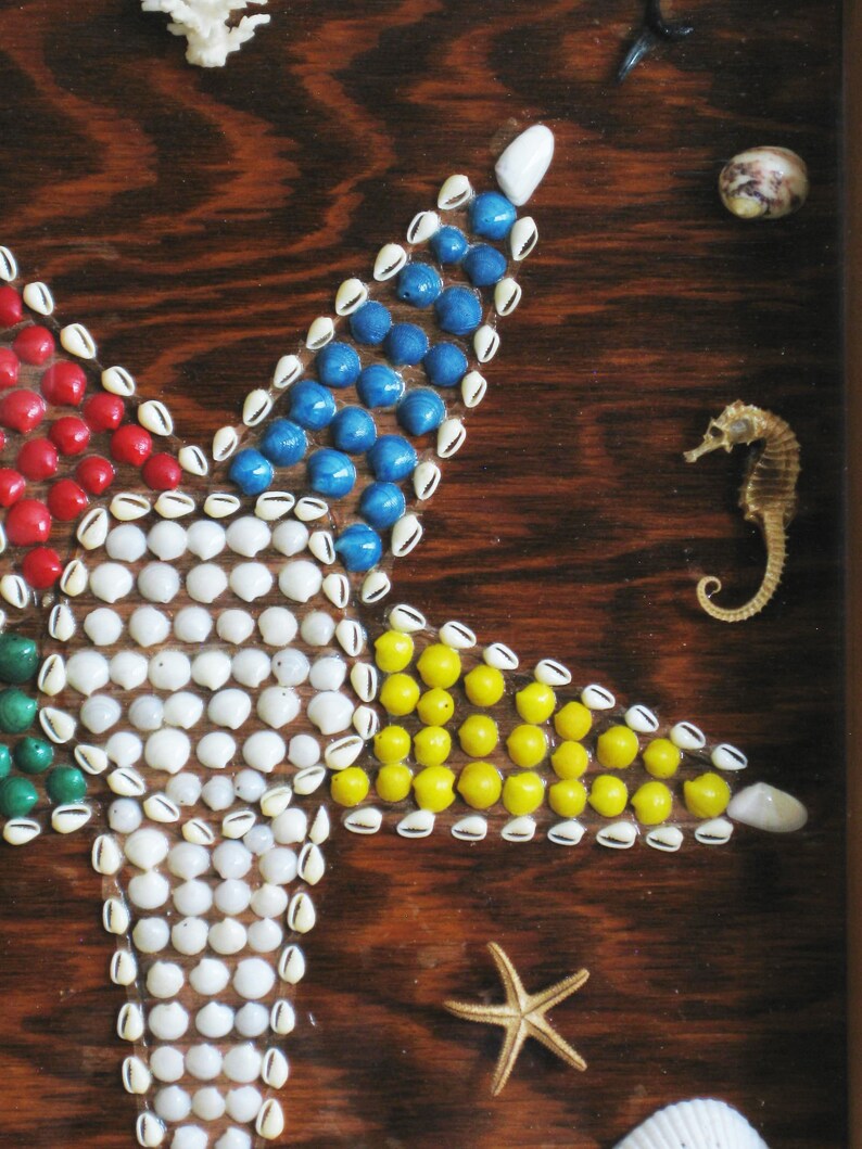 Vintage Folk Art Sea Shell Shadow Box Beach House Nautical | Etsy