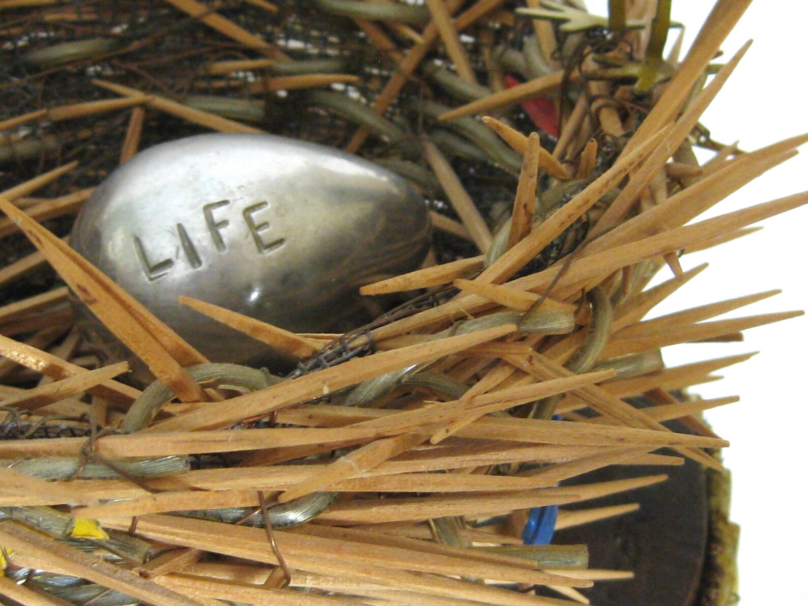 Folk Art Bird Nest Sculpture, Found Object Assemblage, Recycled ...