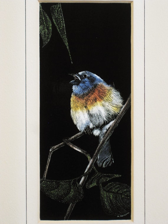 Scratchboard Art Birds