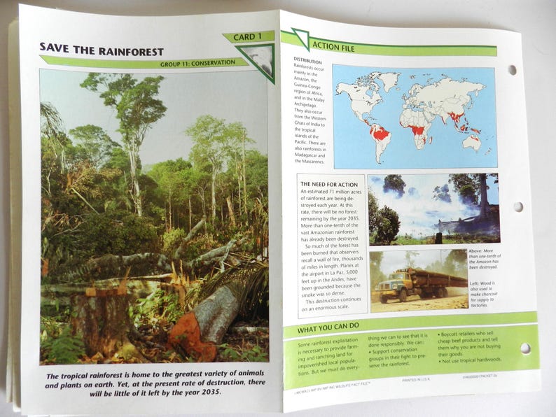 1991 Wildlife Fact File Cards - Etsy