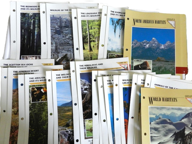 1991 Wildlife Fact File Cards - Etsy