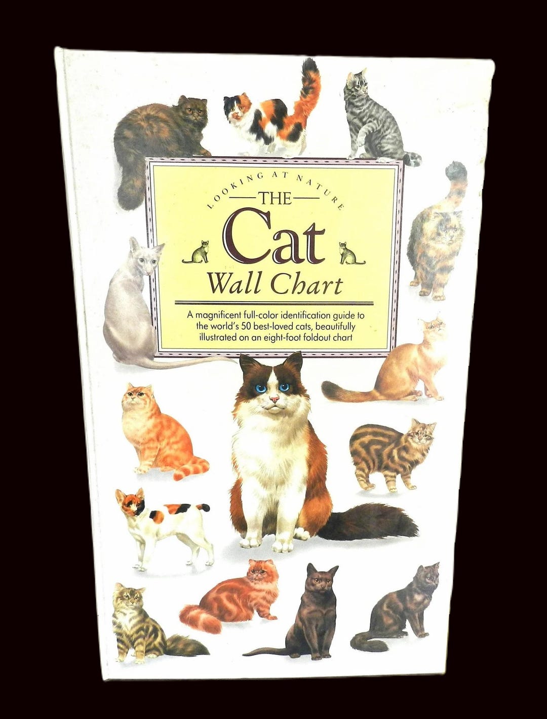 Vintage the Cat Wall Chart by Marcus Schneck 1991 - Etsy