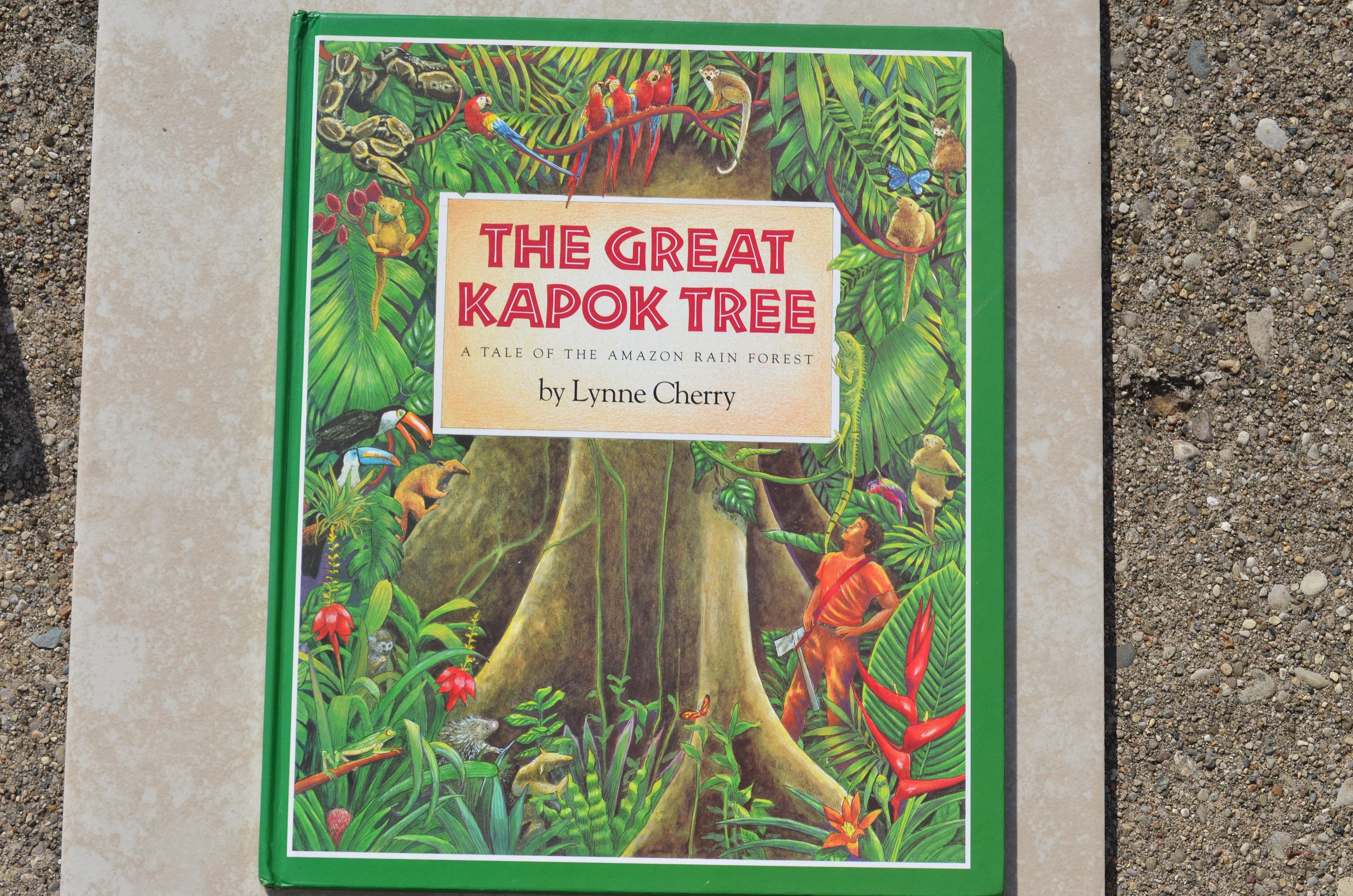 Pictures From The Great Kapok Tree